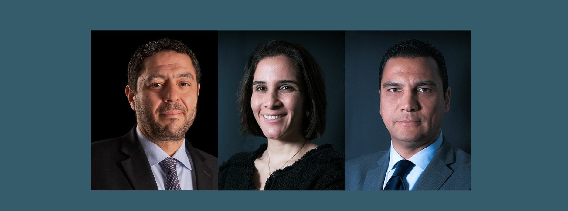 Mitsui and Wadi Join Forces for Sustainable Agribusiness in Egypt